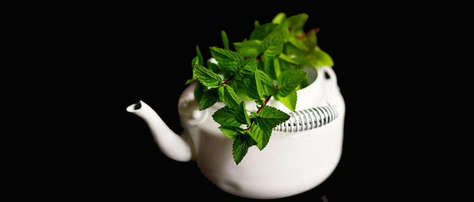 CHOLAGOGA - mieszanka ziołowa sprzed lat - Zioła Świata